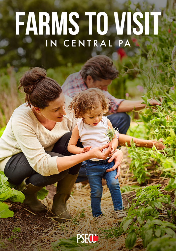 Farms to Visit in Central PA